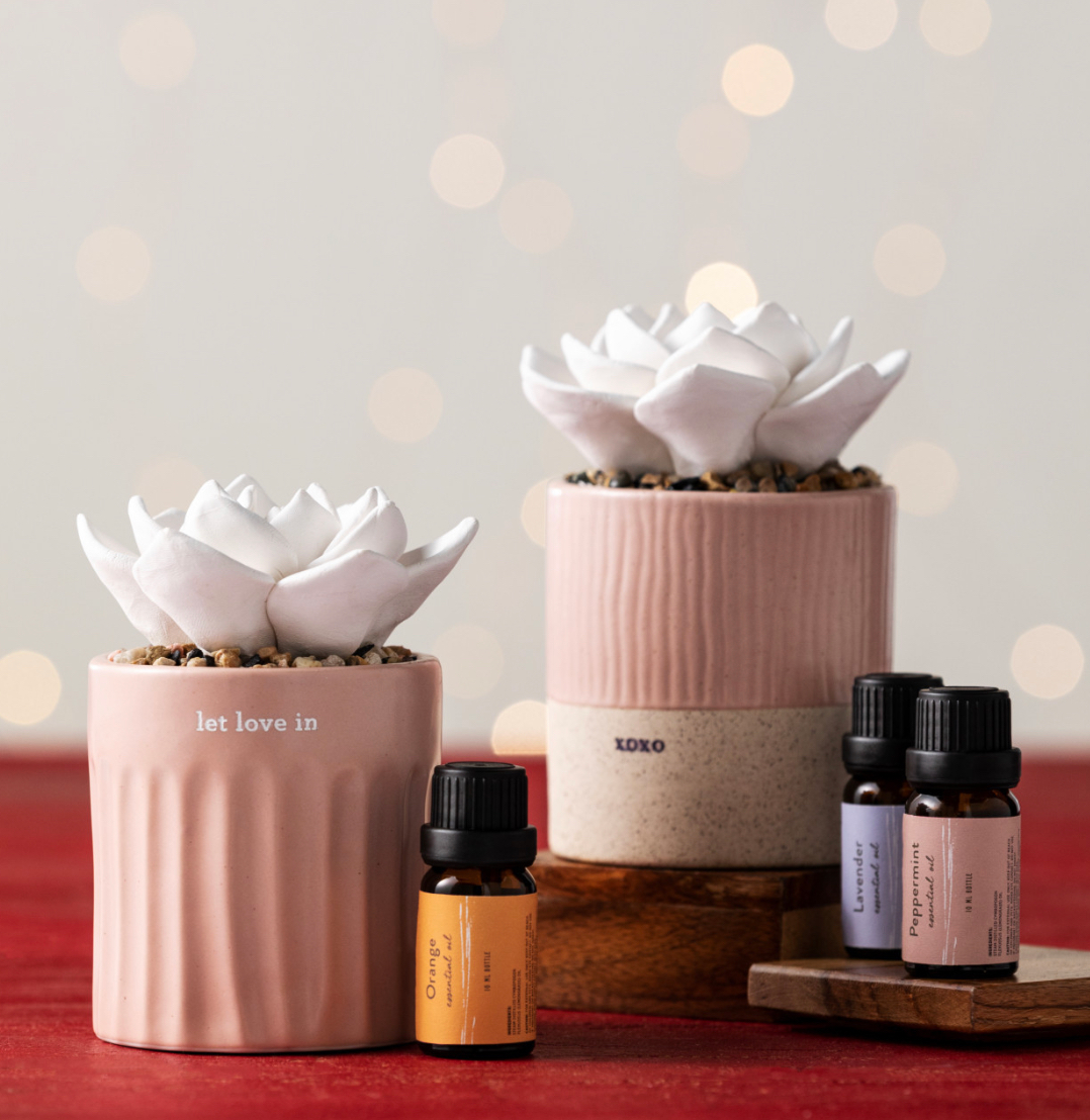 Succulent Oil Diffuser – Smile – Magical Little Things